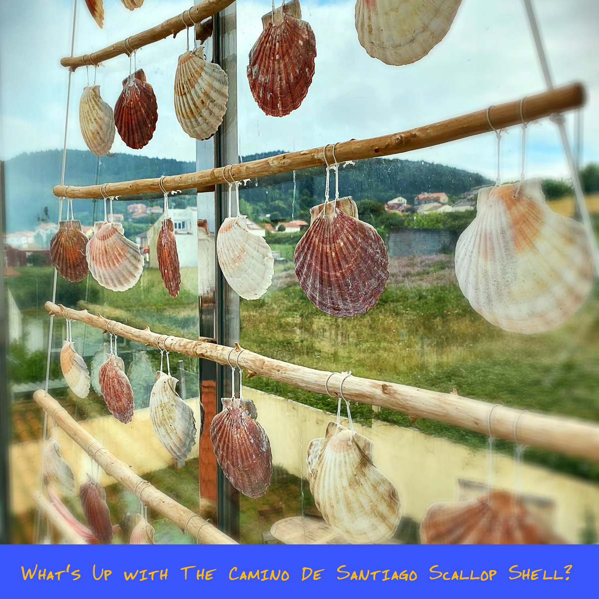 What's Up with The Camino De Santiago Scallop Shell? – Shell Toucher